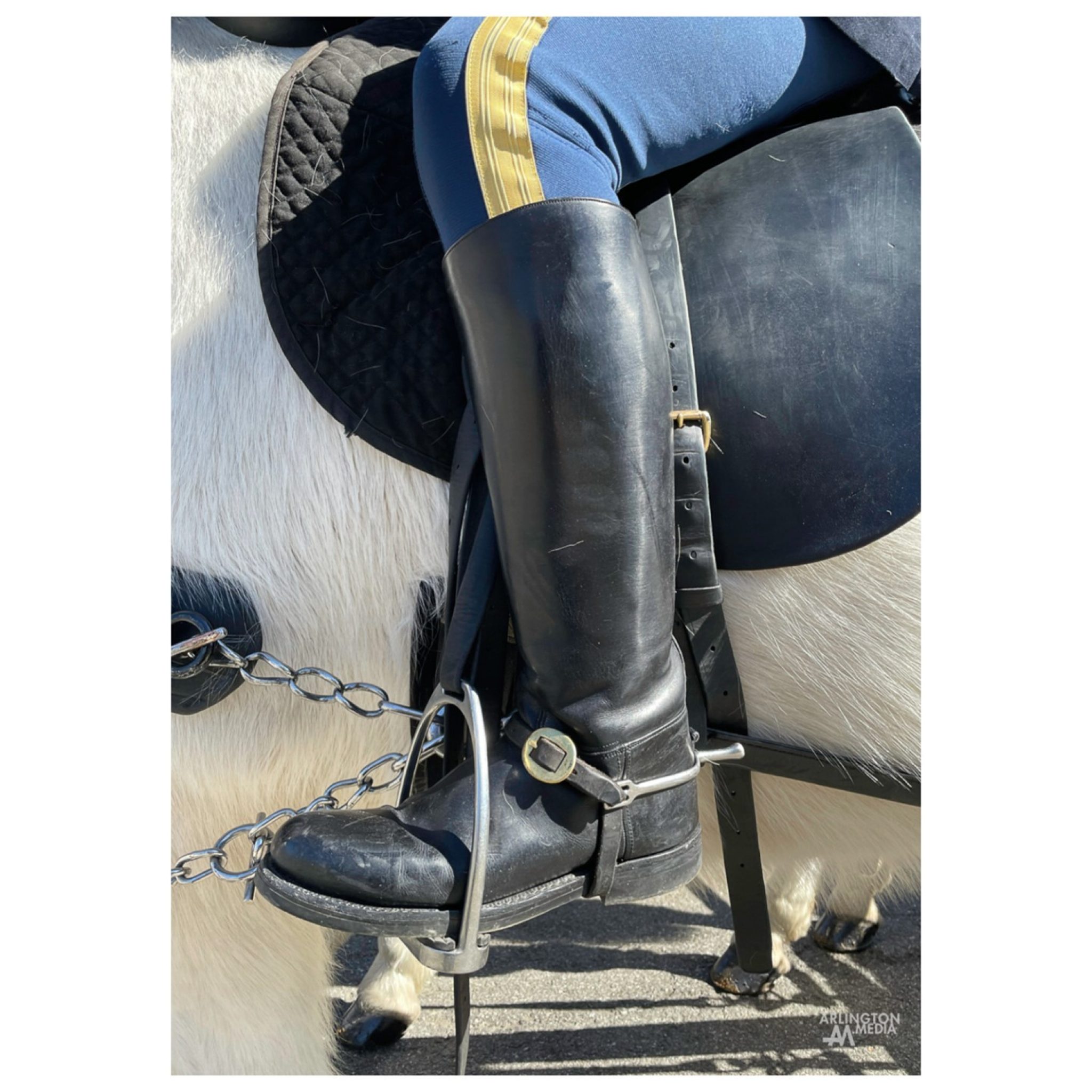 The six horses which pull the caisson through the quiet lanes of ...